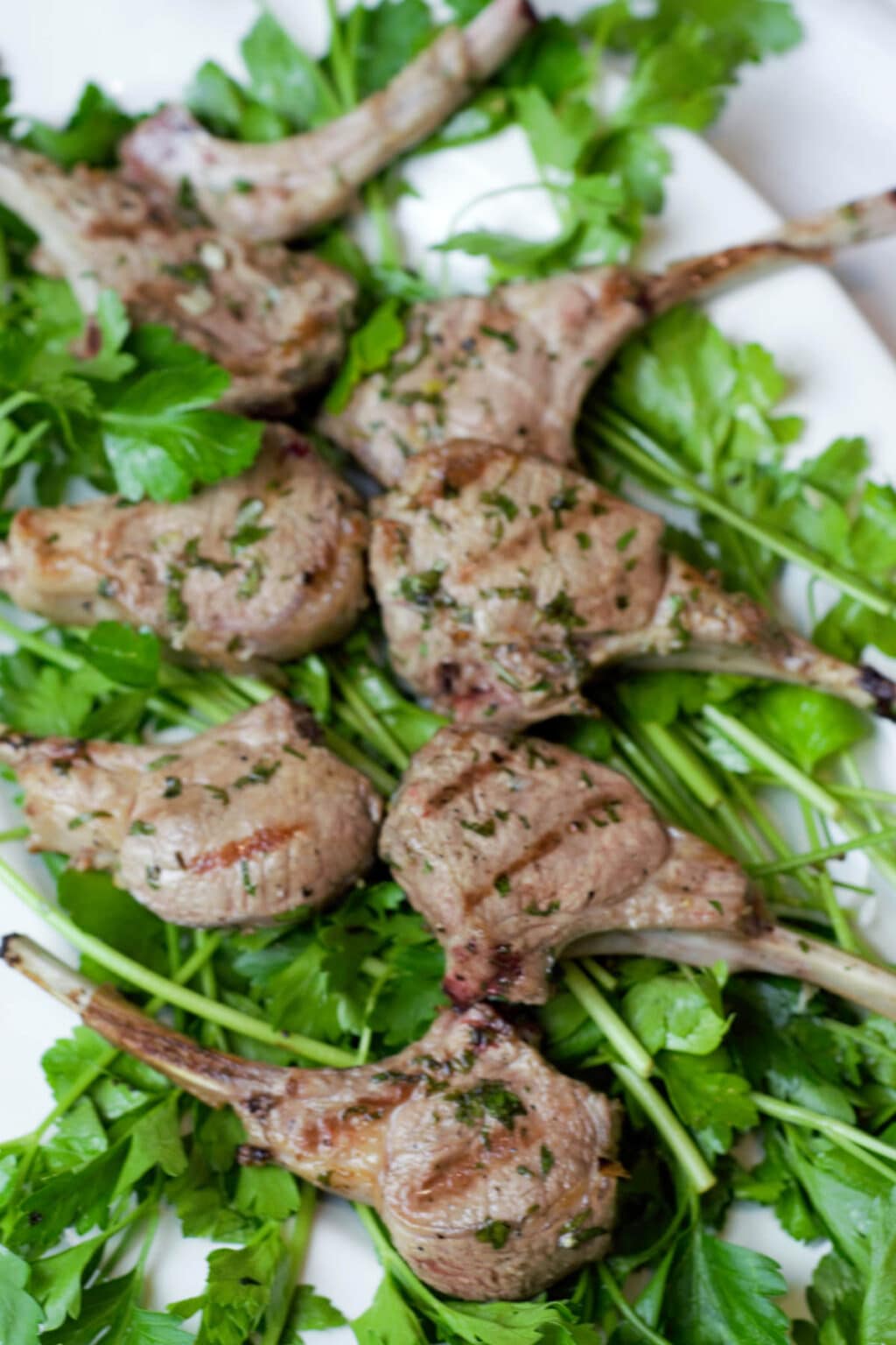 Lamb Lollipops (Grilled Lamb Chops) - Delicious by Design